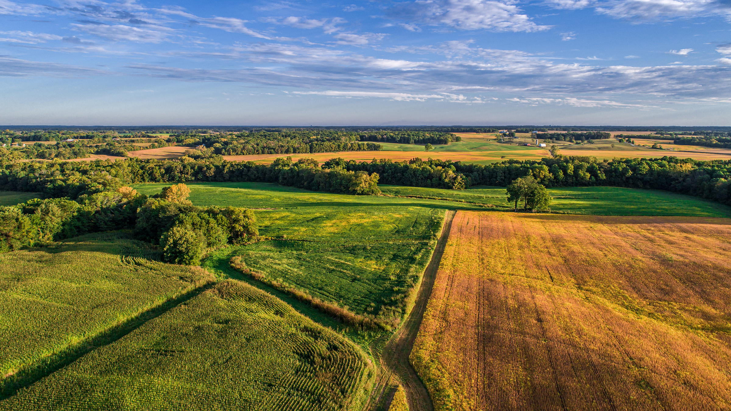 A pragmatic producer’s value of farmland | Federal Reserve Bank of ...